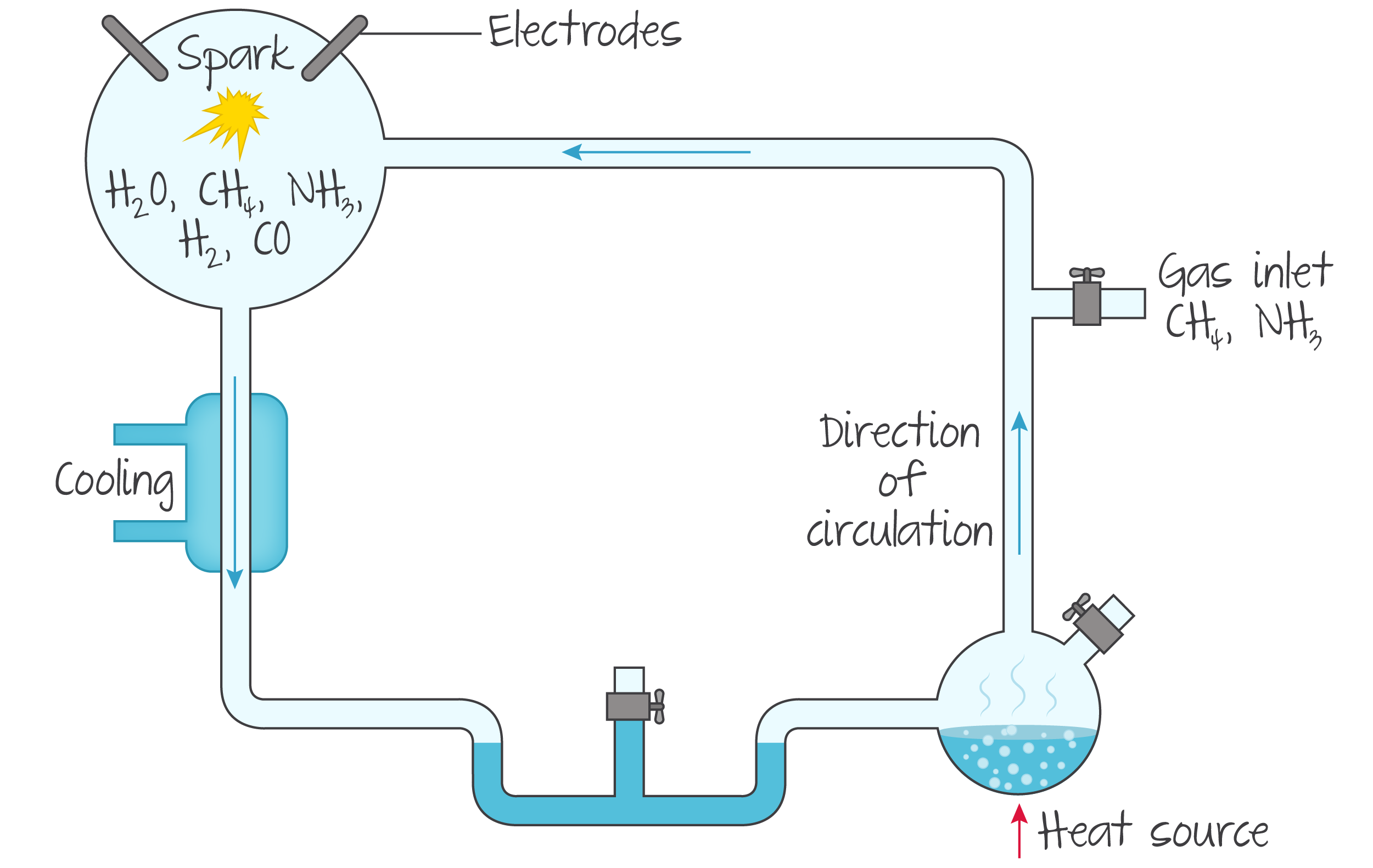 1 Cell Biology, 1.1 Intro to Cells (Cell Size (Limited by its need to…