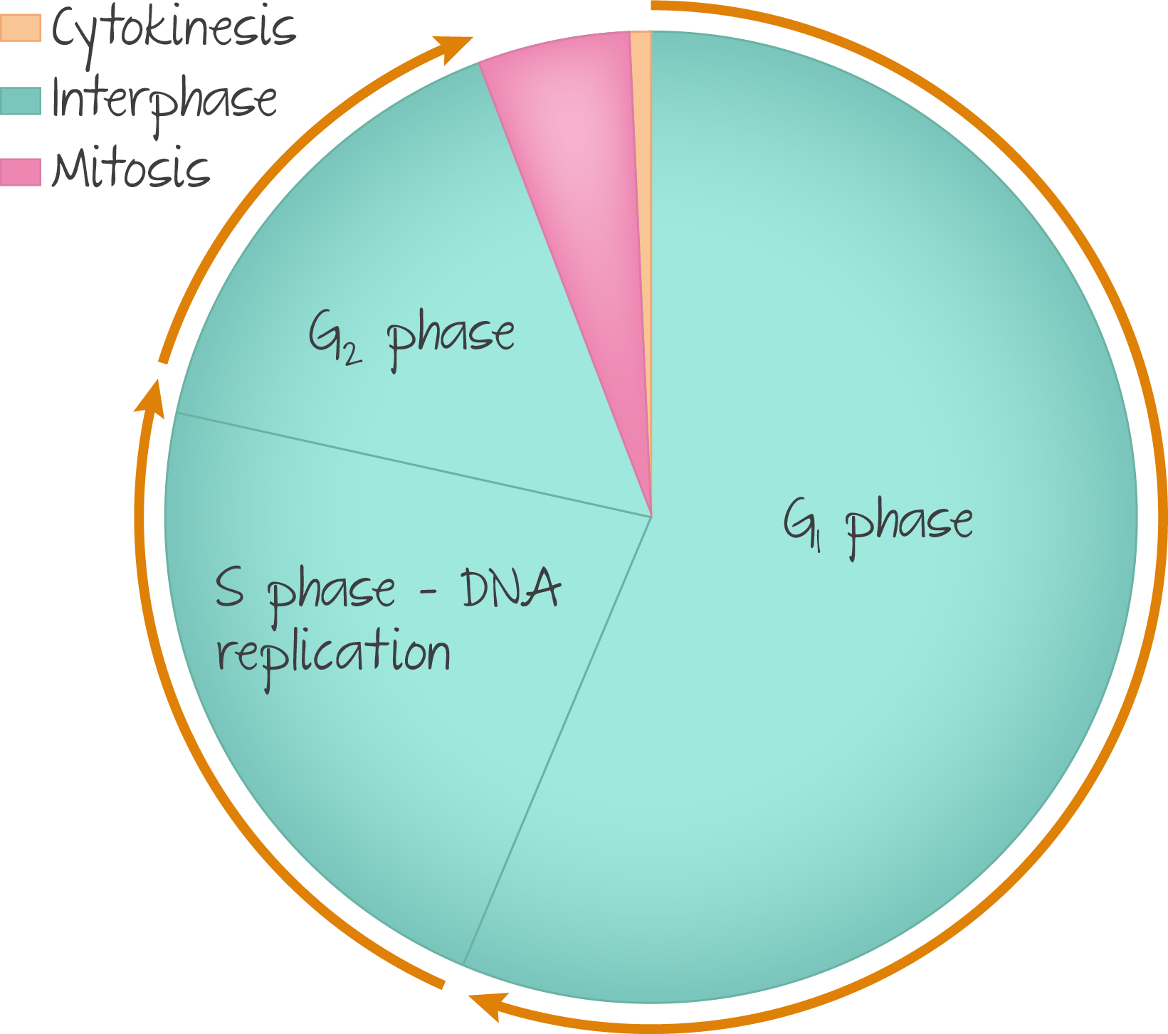 Cell Biology | DP Biology - IB Recap
